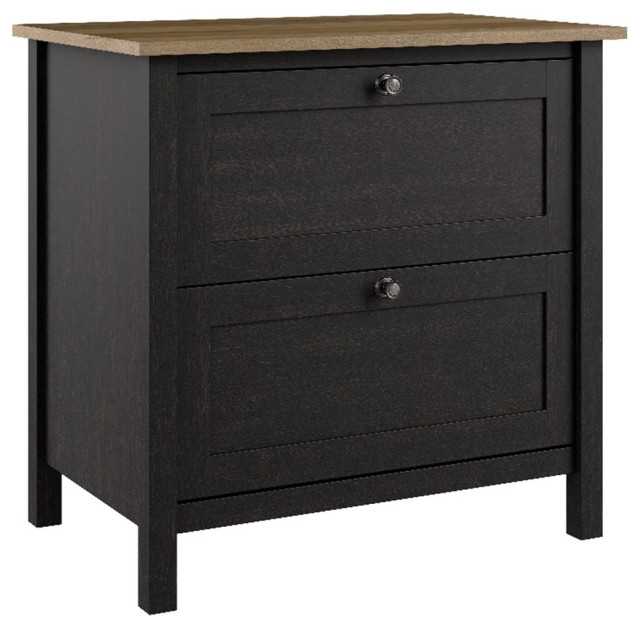 Pemberly Row 2 Drawer Lateral File Cabinet in Vintage Black and ...