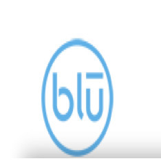 BLU LINE DESIGNS - Project Photos & Reviews - sandy, UT US | Houzz