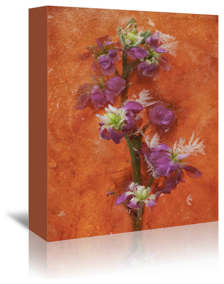 "Delicate Creations" - Contemporary - Prints And Posters - by ...