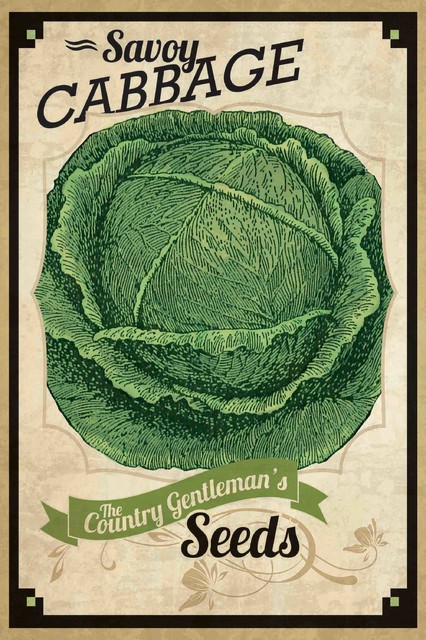 "Seed Packet Cabbage" Painting Print on Canvas, 16"x24" - Farmhouse ...