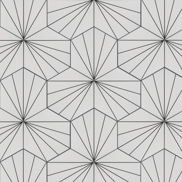 Aster Hex Encaustic Porcelain Floor and Wall Tile - Contemporary - Wall ...