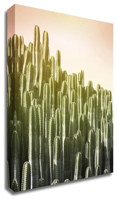 "Pink Sky Cactus" by Lexie Greer, Print on Canvas, 18"x24", 18 x 24 ...