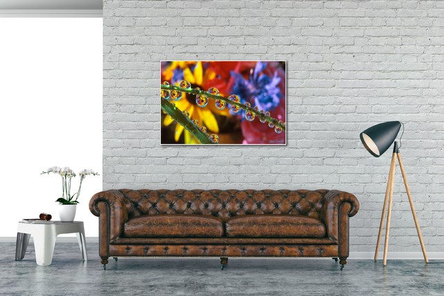 Steve Terrill Reflections in Dew Drops Art Print, 30"x45 ...