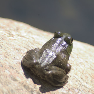 KEN HELMLINGER COMPANY - Project Photos & Reviews - Columbus, US | Houzz