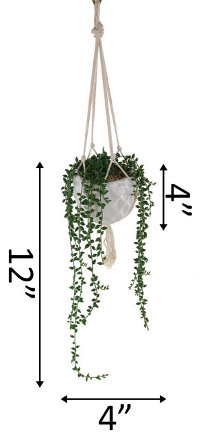 String Of Pearls Macrame Hanging Ceramic Donkey Tails - Beach Style ...