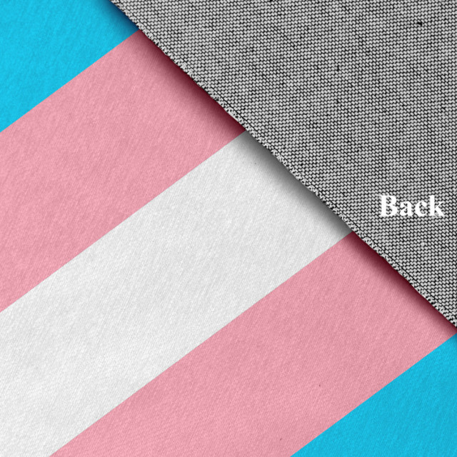 Transgender Chenille Rug, 2'x3' - Contemporary - Area Rugs - by E by ...