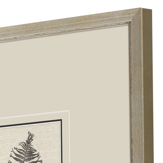 Petite Ferns Artwork, 4-Piece Set - Tropical - Prints And Posters - by ...