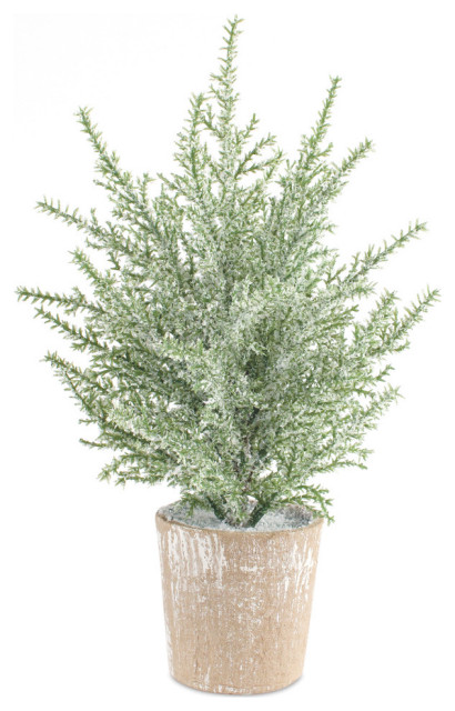 Potted Icy Pine Tree, 6-Piece Set - Traditional - Artificial Plants And ...