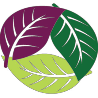 SOUTHEASTERN OUTDOOR MANAGEMENT - Project Photos & Reviews - Panama ...