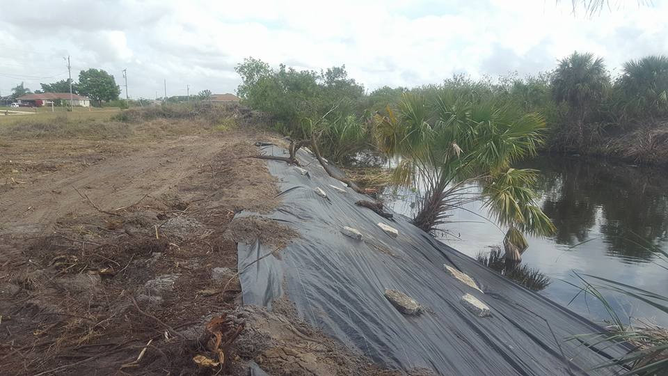 Invasive Vegetation and Fresh Water Canal Bank Stabilization for RipRap ...