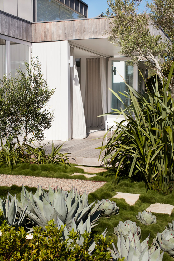 Manly Beach - Modern - Garden - Central Coast - by Blayd Landscapes ...
