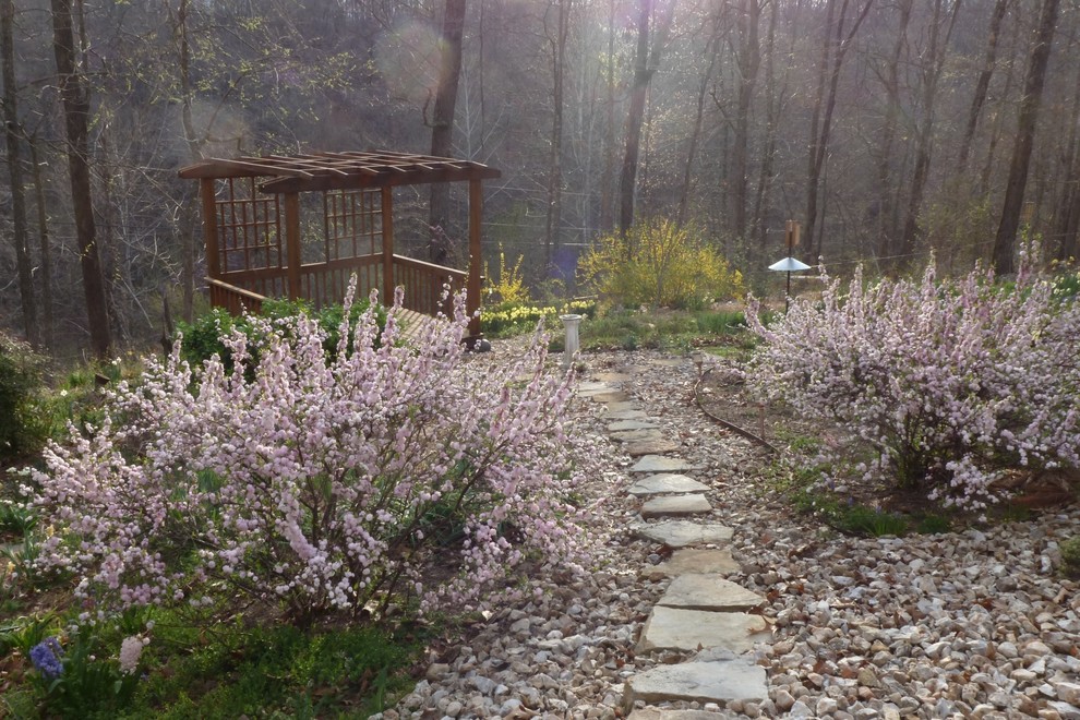 15 Inspiring Summer Gardens in All Their Colorful Glory