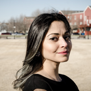 NISHA TAILOR INTERIOR DESIGN. LLC - Project Photos & Reviews ...