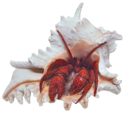 Crab in Shell Sculpture - Beach Style - Decorative Objects And ...