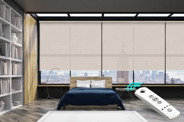 Springblinds SOMFY Motorized 5% Solar Indoor Outdoor Shade, 72"x72 ...