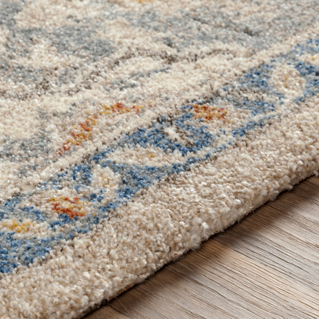Winchester Area Rug, 7'10" x 10'3" - Mediterranean - Area Rugs - by ...