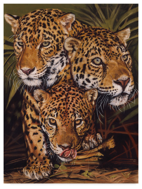 "Forest Jewels" by Barbara Keith, Canvas Art, 32"x24" - Tropical ...