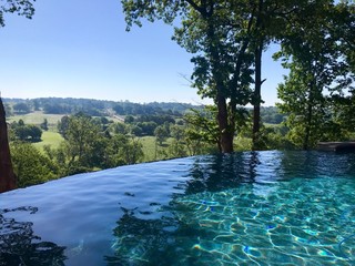 TROPICAL POOLSCAPES - Project Photos & Reviews - Lowell, AR US | Houzz