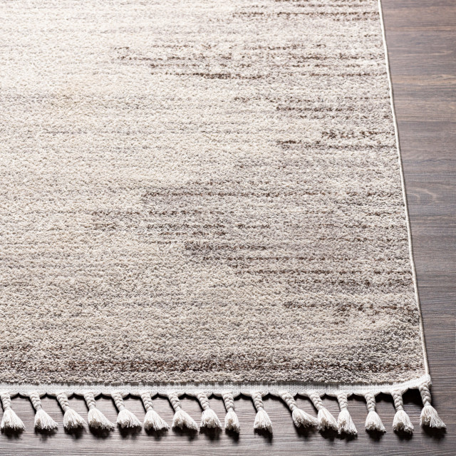Blackburn BBN-2303 Area Rug, 6'7"x9' - Contemporary - Area Rugs - by ...