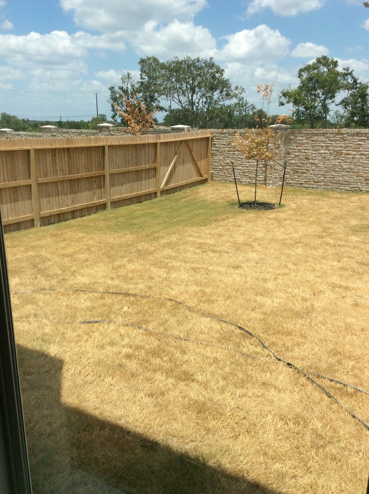 What to do about yard