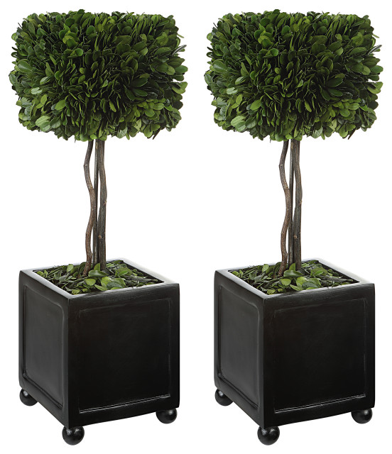 Uttermost Preserved Boxwood Square Topiaries, S/2 - Artificial Plants ...