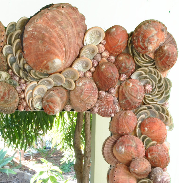 "Red Is Green" Gorgeous Abalone Sea Shell Framed Mirror - Beach Style ...