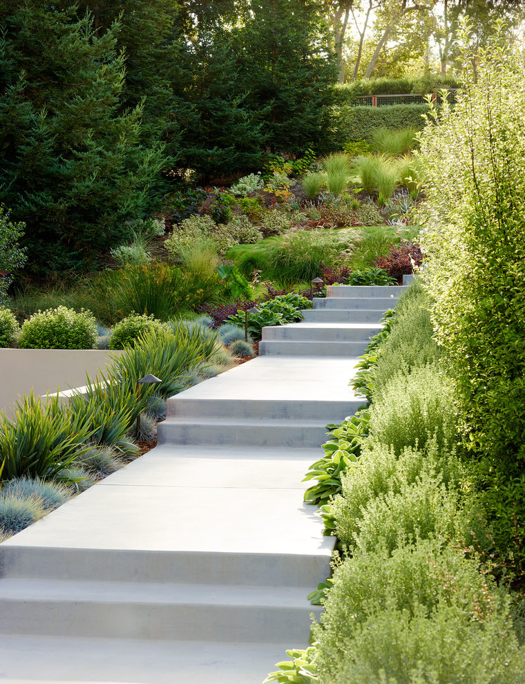 Idyllic Modern - Contemporary - Landscape - San Francisco - by David ...