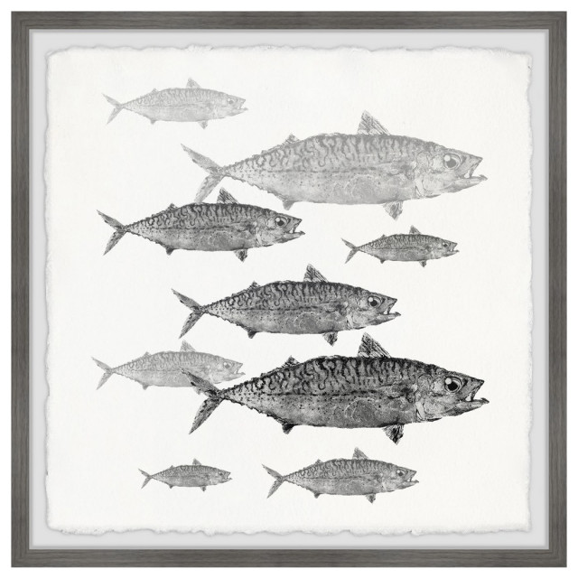 "Freshwater Fish" Framed Painting Print, 12"x12", 32"x32" - Beach Style ...