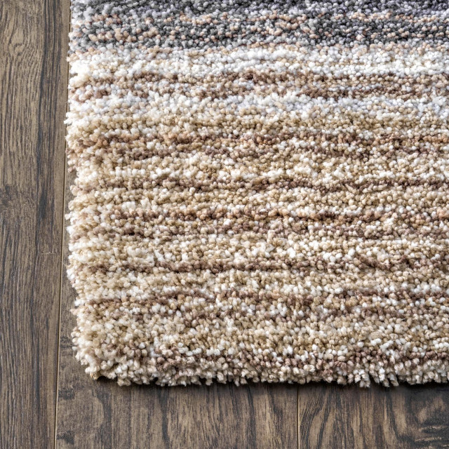 Hand-Tufted Striped Shaggy Plush Shag Rug, 4'x6' - Contemporary - Area ...
