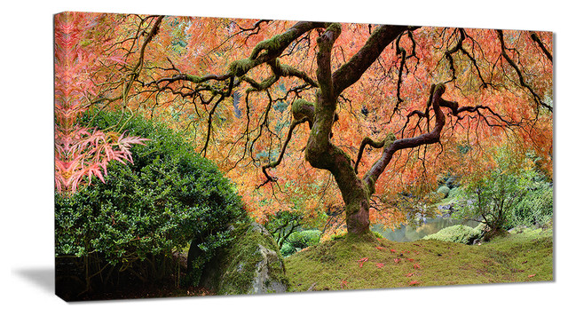 "Old Japanese Maple Tree" Landscape Photography Canvas Print, 32"x16 ...