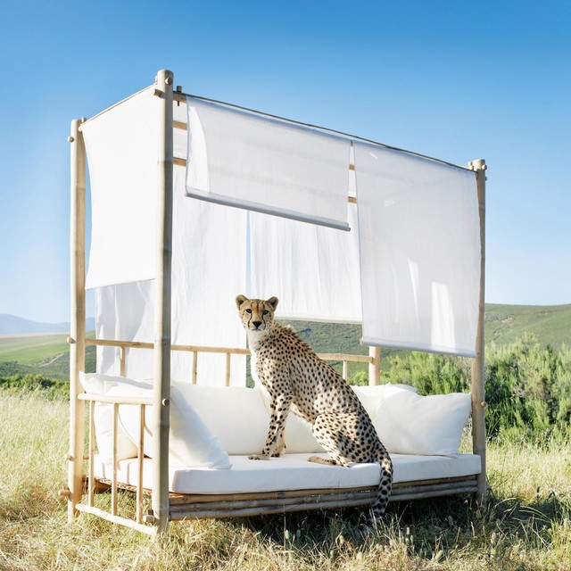 Bamboo Daybed With Canopy - Tropical - Daybeds - by Zero Emission World ...