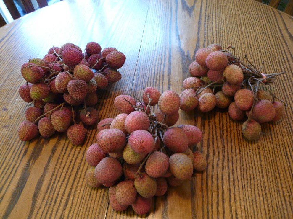 Florida's lychee's have arrived in NY