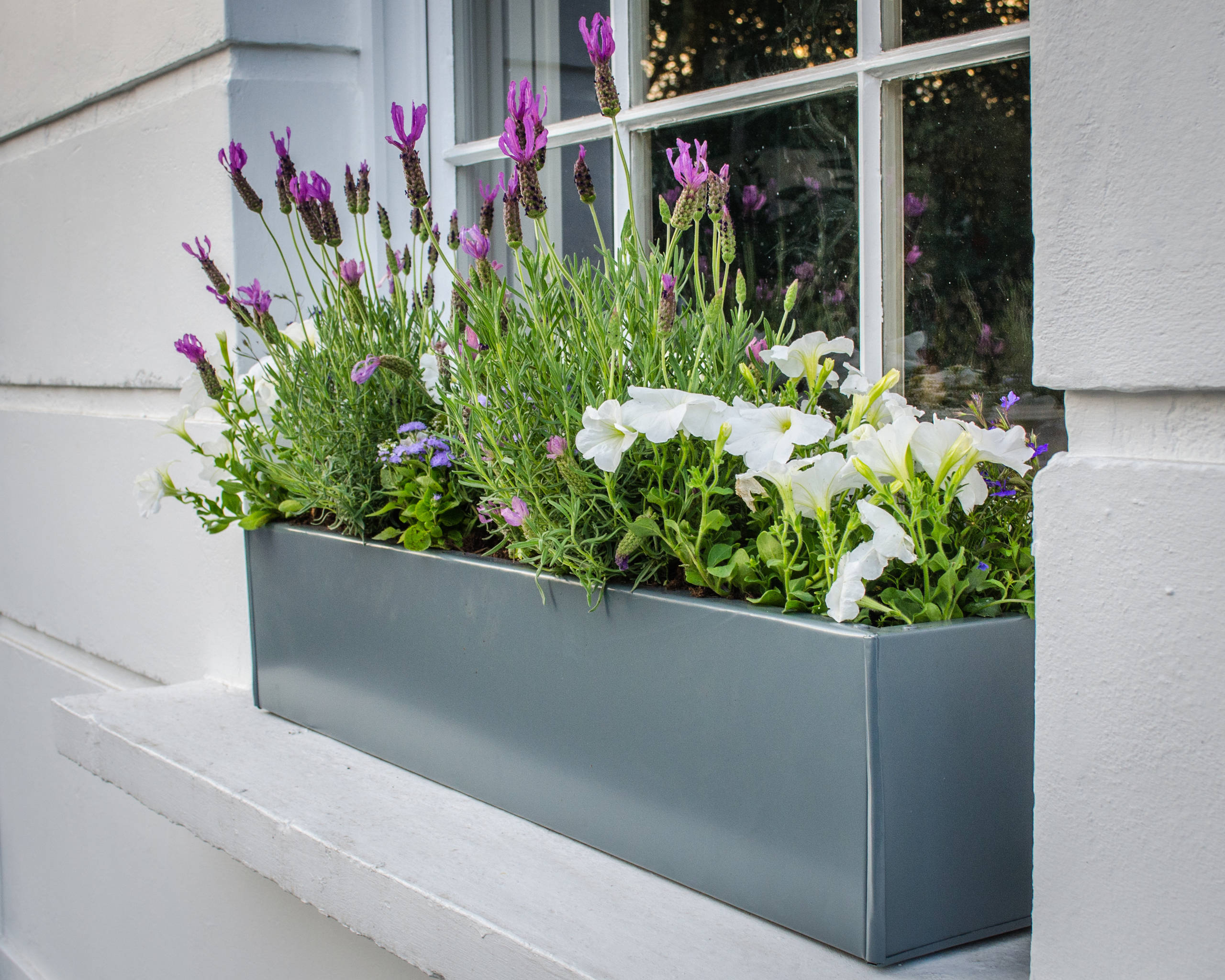 Window Box Plants For Sun How To Plant A Rockin' Window Box | The