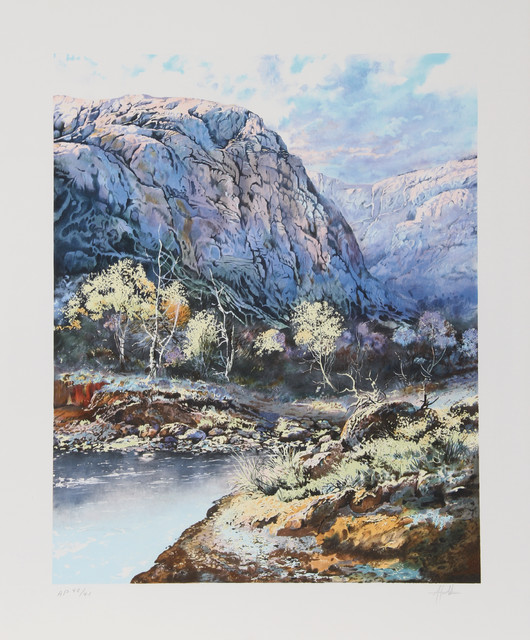 Jorge Braun Tarallo, Lonely Flowers, Lithograph - Contemporary - Fine ...