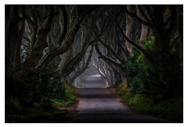 "Magic Road" Digital Paper Print by Piotr Galus, 24"x17", 32"x22 ...