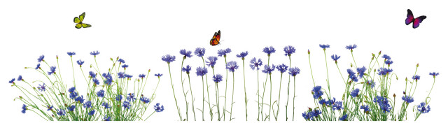 Spring Window Decals - Contemporary - Wall Decals - by Brewster Home ...