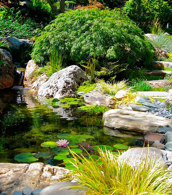 Japanese Garden Pool Designs