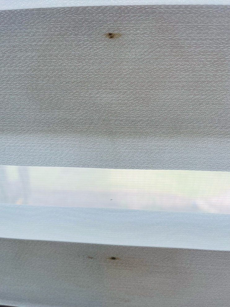 Spot Clean MaxxMar opera blind