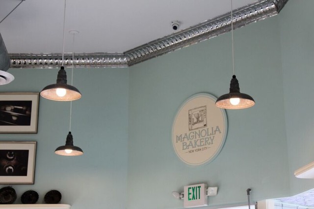 14" Classic Steel Pendant Light Fixture, the Malibu - Industrial ...