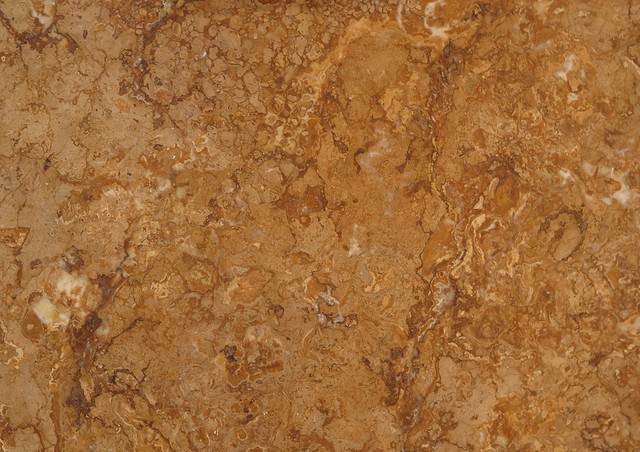 Gold Travertine Tiles, Honed Finish, Sample - Traditional - Wall And ...
