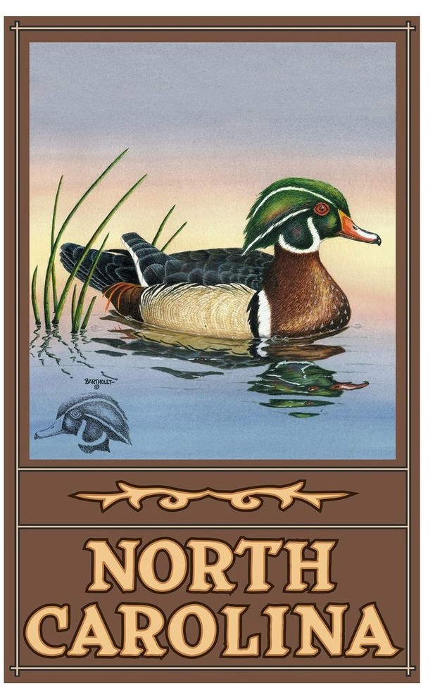 by Artist Dave Bartholet North Carolina Wood Duck Art Print, 30"x45 ...