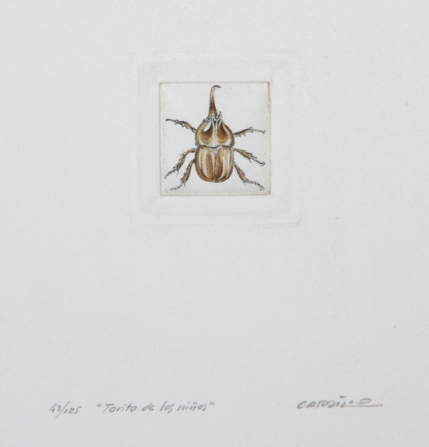 Rimer Cardillo "Torito De Los Ninos" Etching - Traditional - Fine Art ...