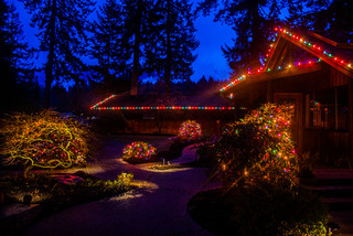 Shrub Lighting - Seattle - by Choice Landscapes LLC | Houzz