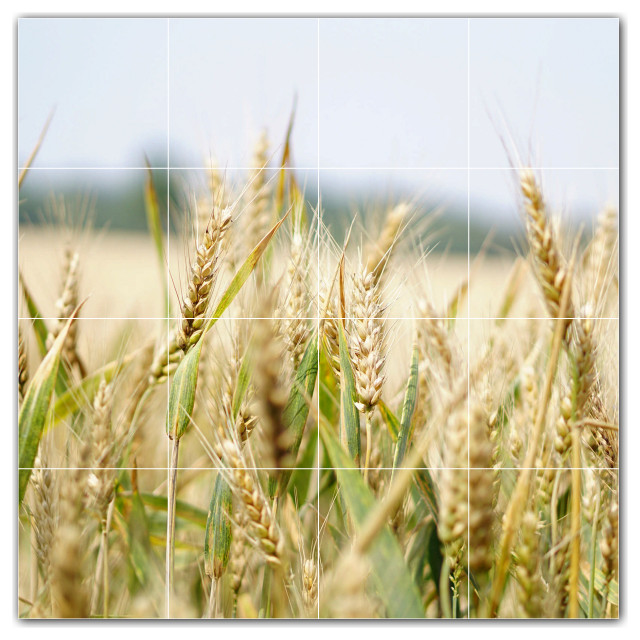 Farm Ceramic Tile Wall Mural HZ500592, 24" Wide x 24" High - Farmhouse ...