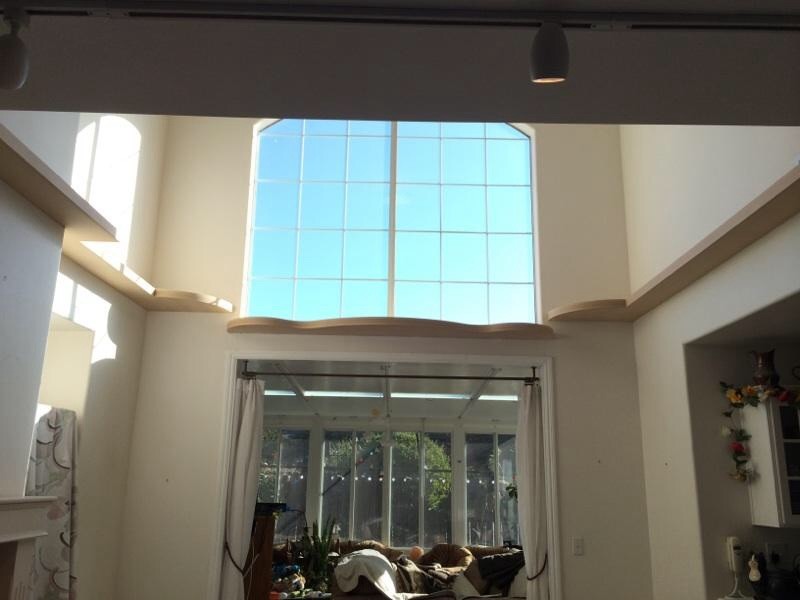 Incredible Home Catwalks Make for Purr-fectly Happy Felines