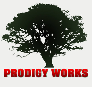 PRODIGY WORKS - Project Photos & Reviews - Concord, CA US | Houzz