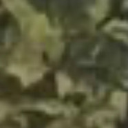 RCG BUILDING SOLUTIONS - Project Photos & Reviews - Longwood, FL US | Houzz