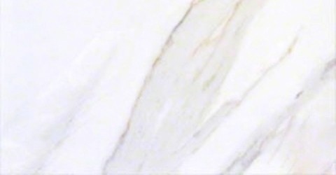 Pietra Calacatta 12x24 Polished Porcelain Tile, Sample - Traditional ...