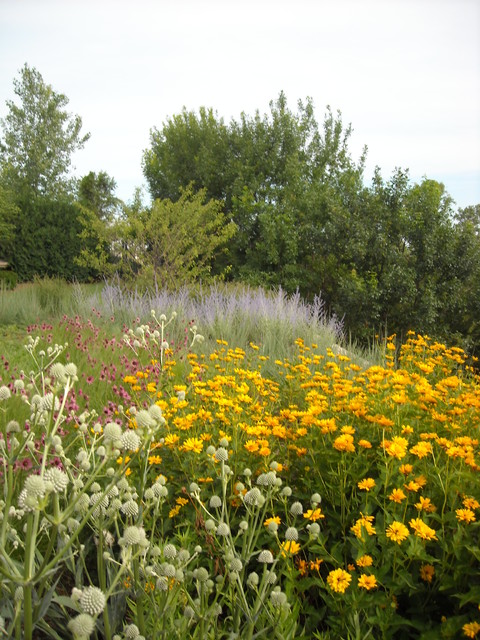 Planned Prairie - Rustic - Landscape - Omaha - by Kinghorn Gardens