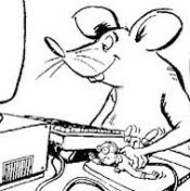 AMBER CUSTOM LTD. - Project Photos & Reviews - Vancouver, BC CA | Houzz